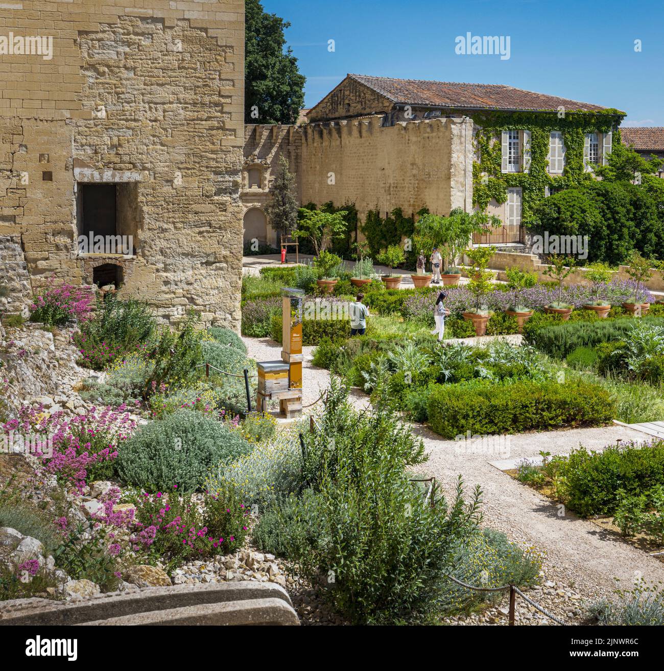 Palazzo dei papi avignone immagini e fotografie stock ad alta ...