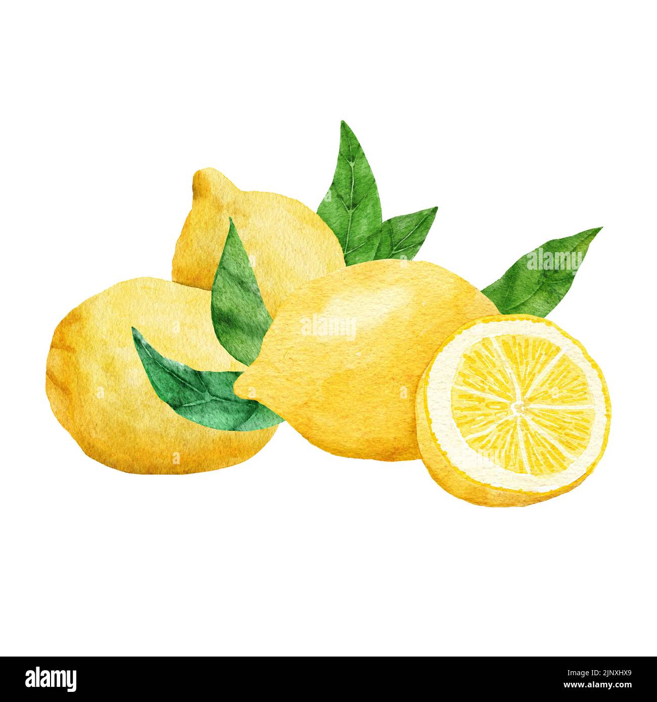 Acquerello disegno a mano con limoni tagliati in giallo e foglie verdi ...
