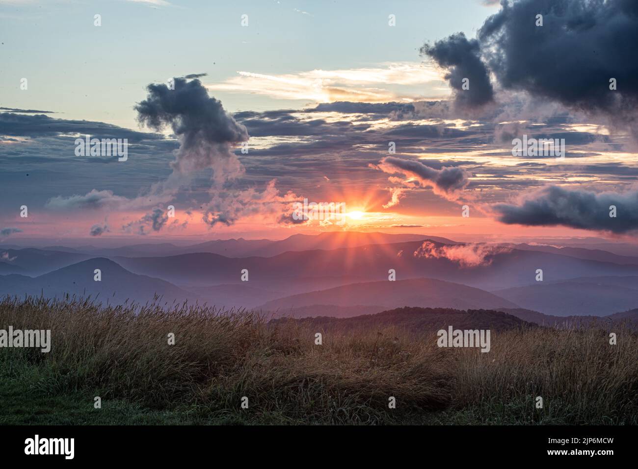 Max patch calvo immagini e fotografie stock ad alta risoluzione - Alamy