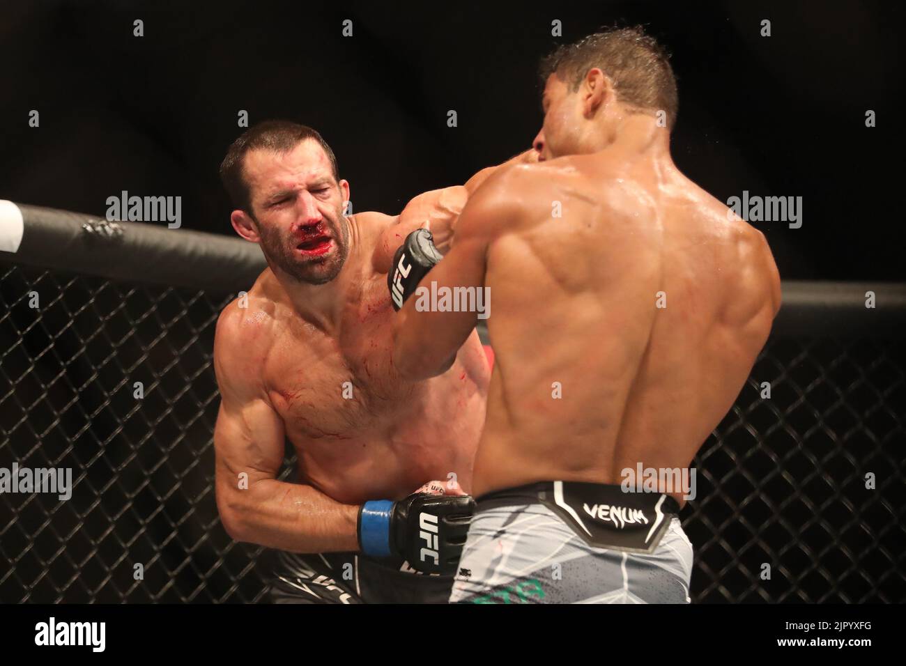 Luke rockhold immagini e fotografie stock ad alta risoluzione - Alamy