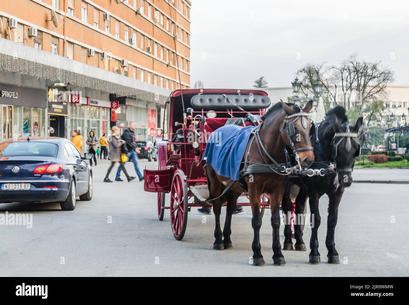 Carrozza e 2 cavalli immagini e fotografie stock ad alta risoluzione ...