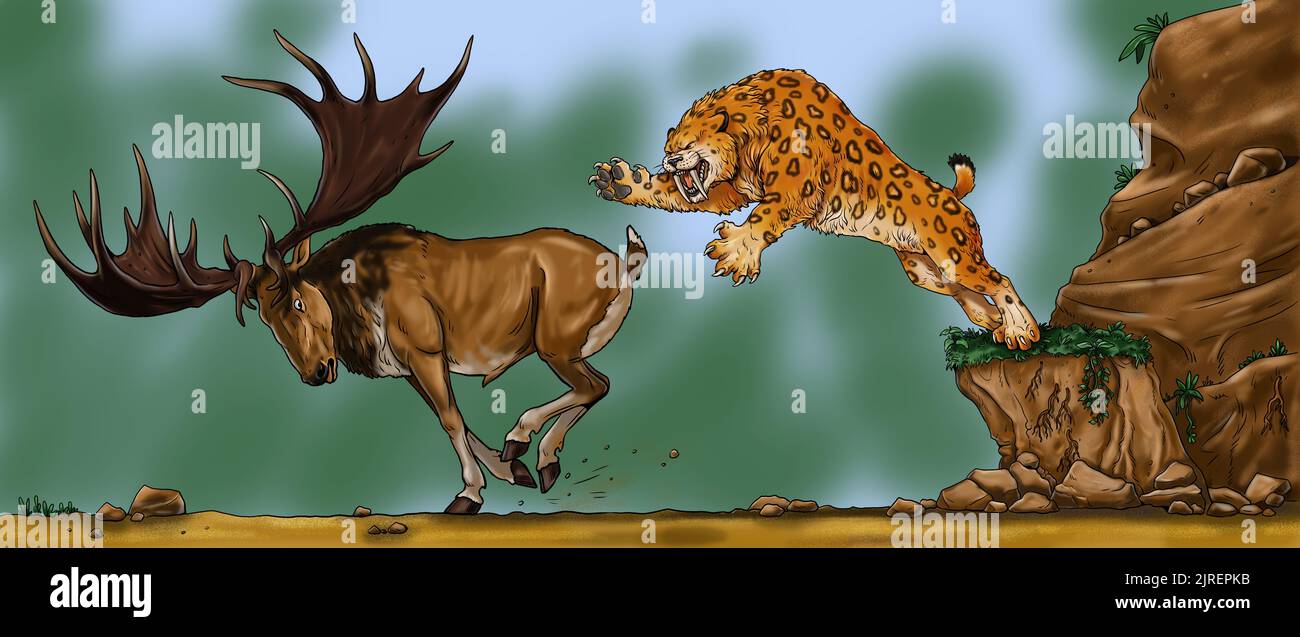 Il dente Sabre attacca il gigantesco cervo megaloceros. Disegno con ...
