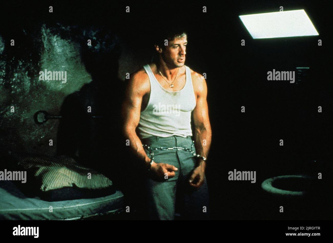 Sylvester stallone and frank stallone immagini e fotografie stock ad ...