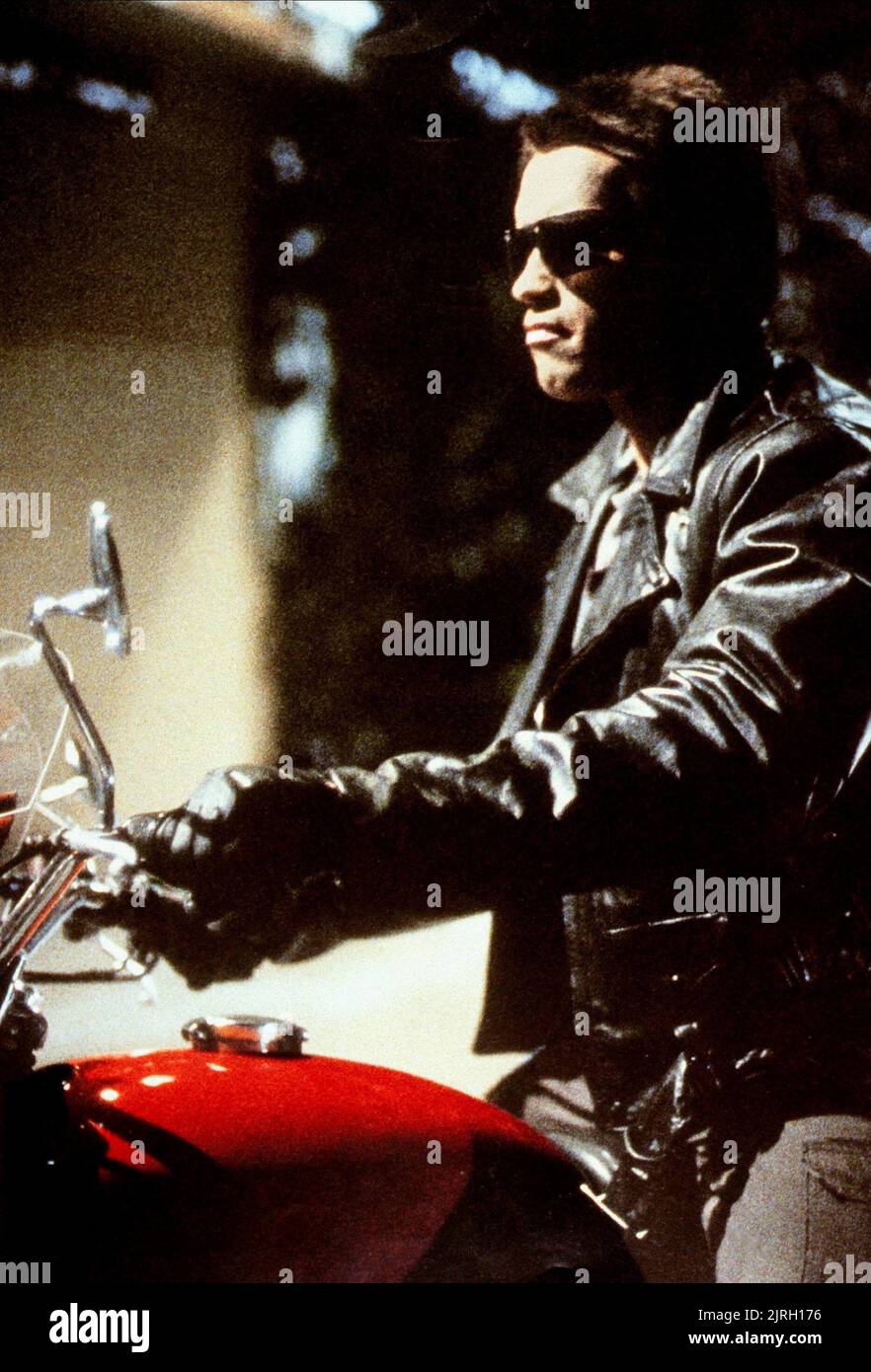 Terminator arnold schwarzenegger 1984 immagini e fotografie stock ad ...