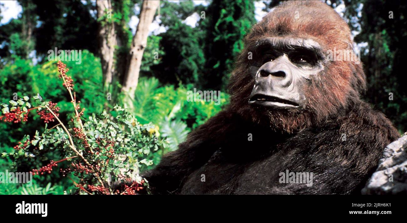 Film del re kong immagini e fotografie stock ad alta risoluzione - Alamy