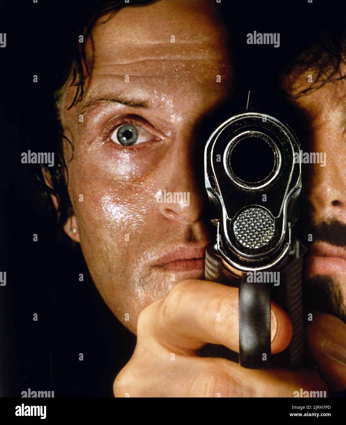 Sylvester stallone rutger hauer nighthawks immagini e fotografie stock ...