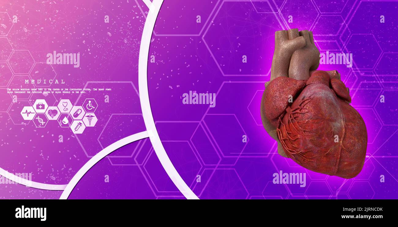 Anatomia del corpo umano e del cuore 3d immagini e fotografie stock ad ...