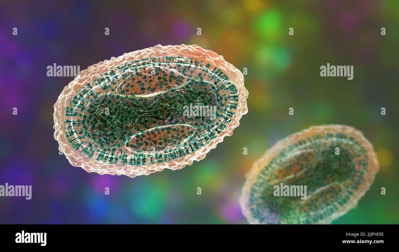 Bovine papular stomatitis virus immagini e fotografie stock ad alta ...