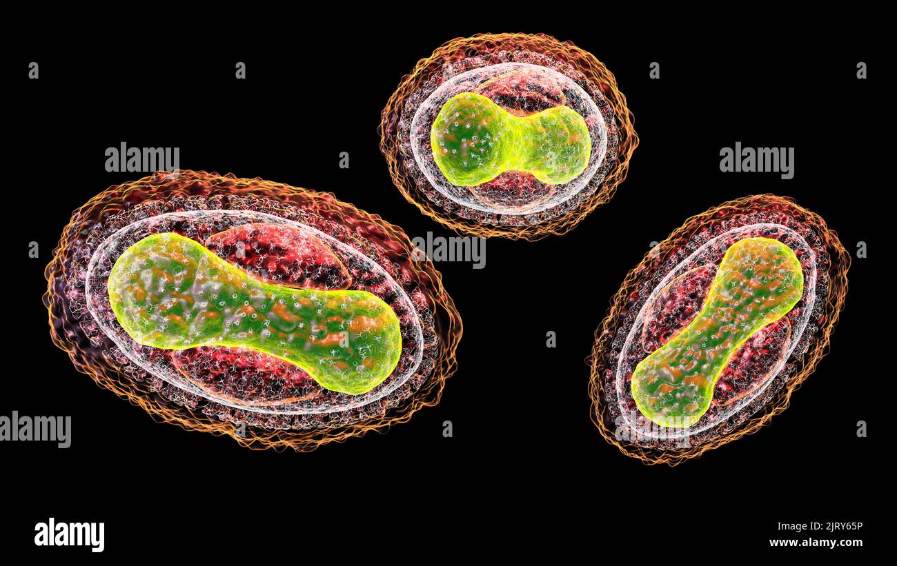 Bovine papular stomatitis virus immagini e fotografie stock ad alta ...
