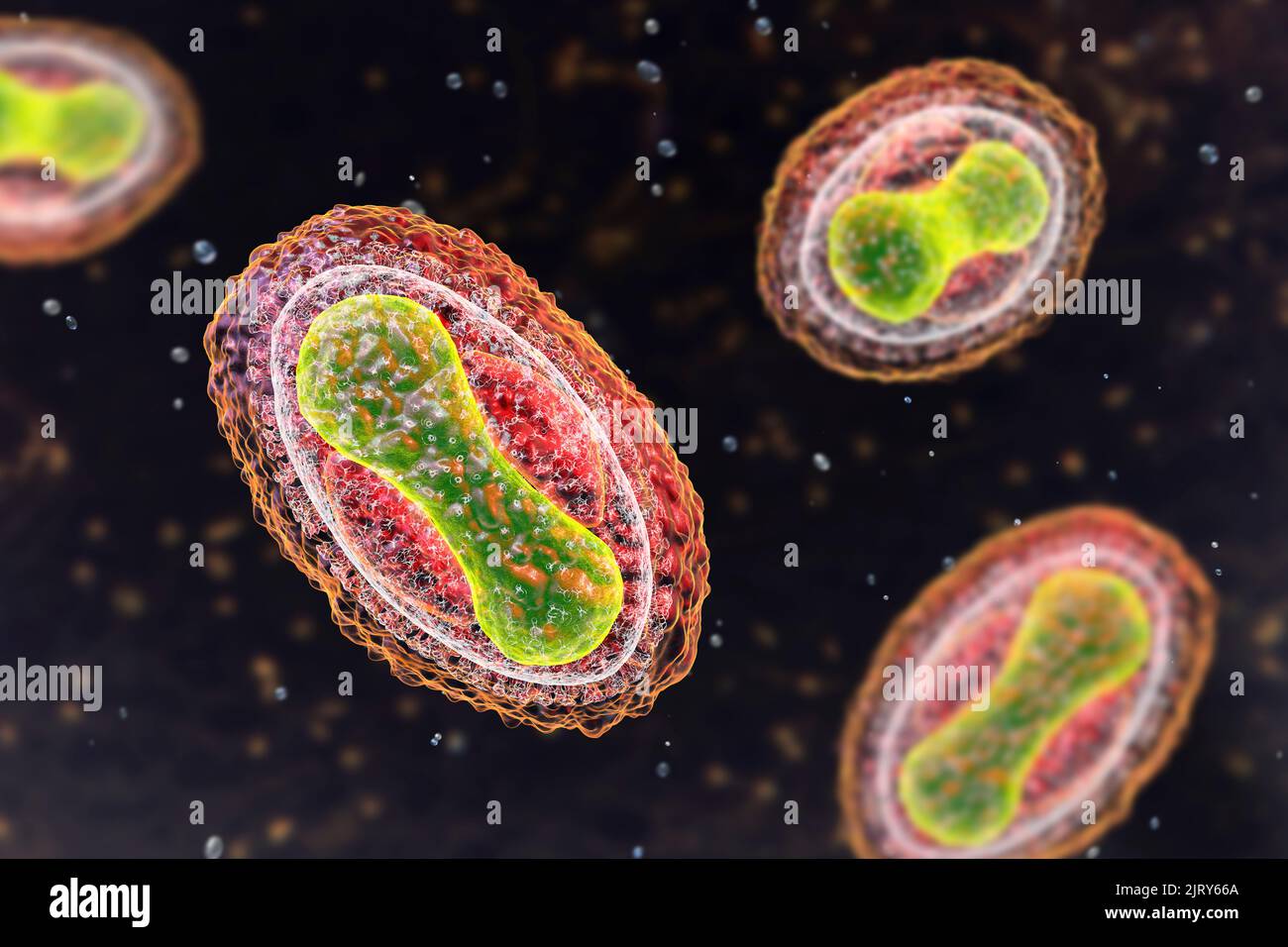 Bovine papular stomatitis virus immagini e fotografie stock ad alta ...