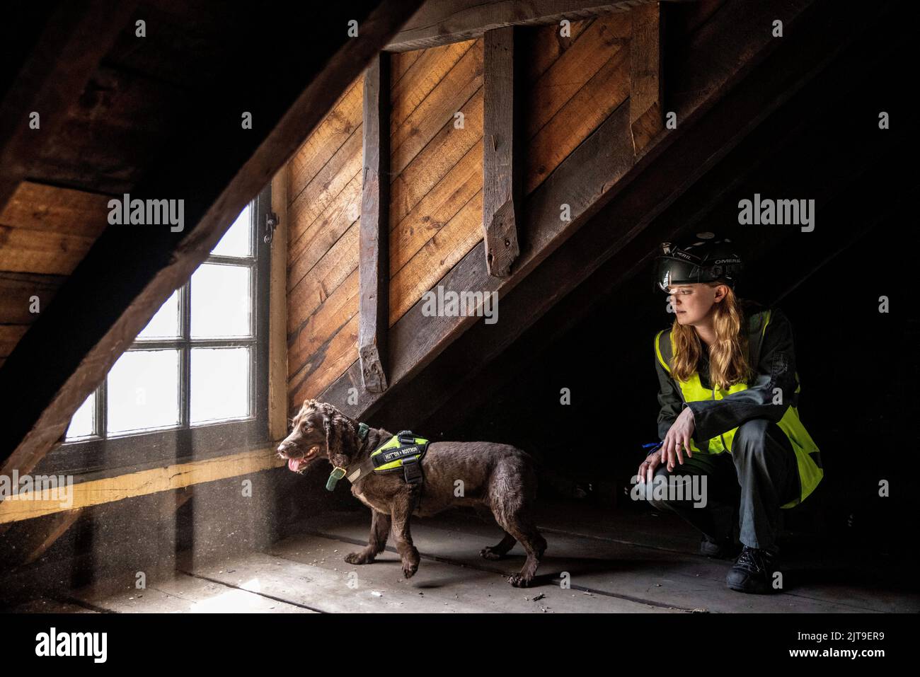 Pip della giornata nazionale dei cani immagini e fotografie stock ad ...