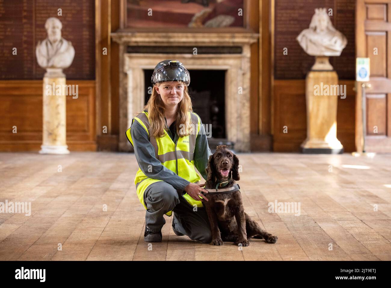 Pip della giornata nazionale dei cani immagini e fotografie stock ad ...