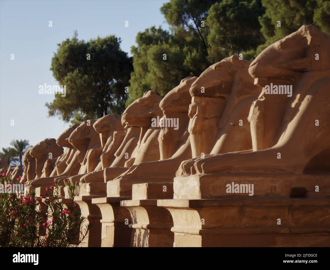 Antichi dei egizi immagini e fotografie stock ad alta risoluzione - Alamy