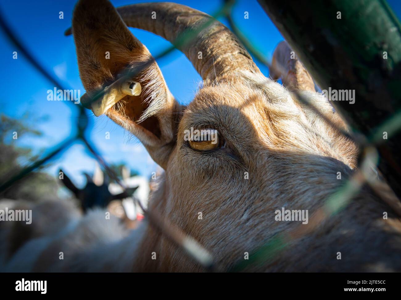 Occhio di espressione immagini e fotografie stock ad alta risoluzione ...