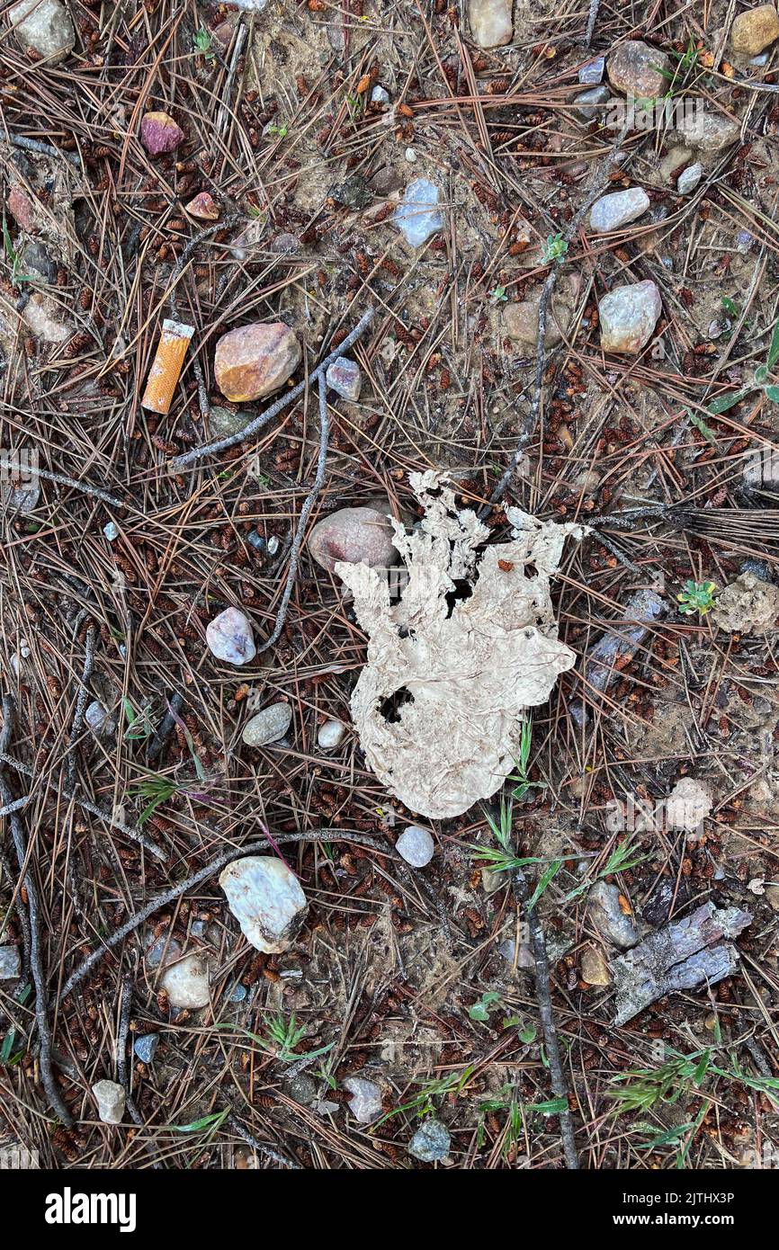 Inquinamento infarto immagini e fotografie stock ad alta risoluzione - Alamy