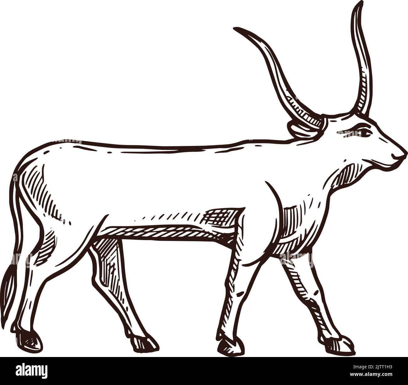 Apis bull sketch, antico Egitto divinità e Dio animale, icona della ...