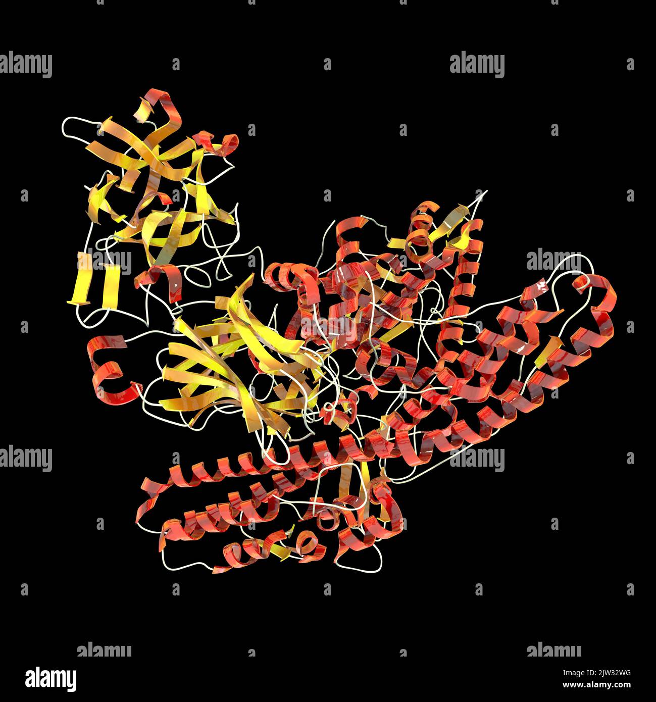 Molecola di neurotossina di tetano, illustrazione. Si tratta di una ...