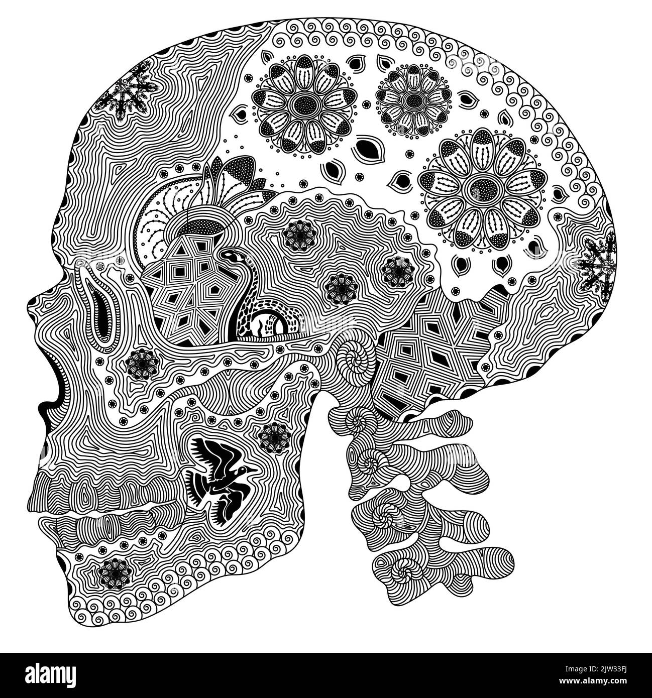 cranio umano nero stilizzato disegnato a mano. cranio umano. profilo ...
