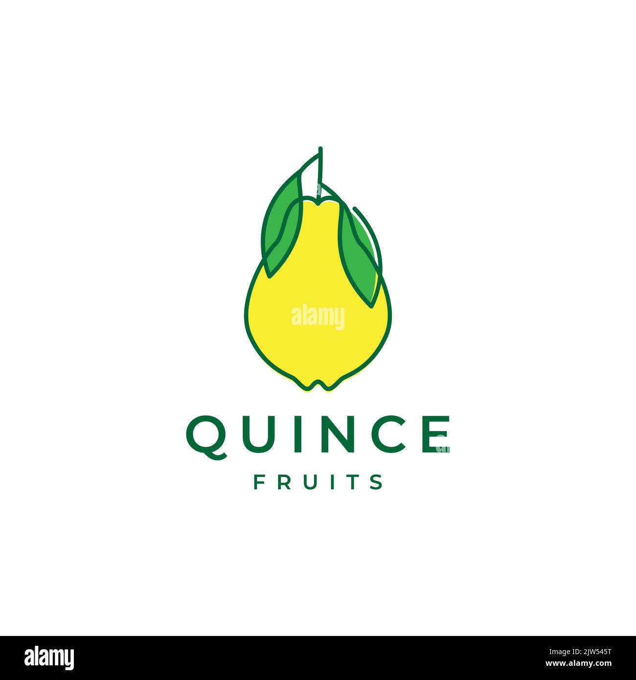 Frutta frutto natura pianta botanica mela cotogna matura Immagini ...