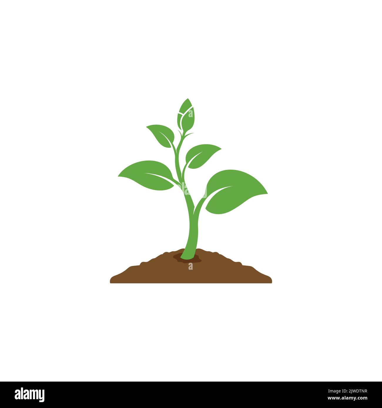 pianta icona vettore. foglia disegno crescente. Icona vettore seme e ...