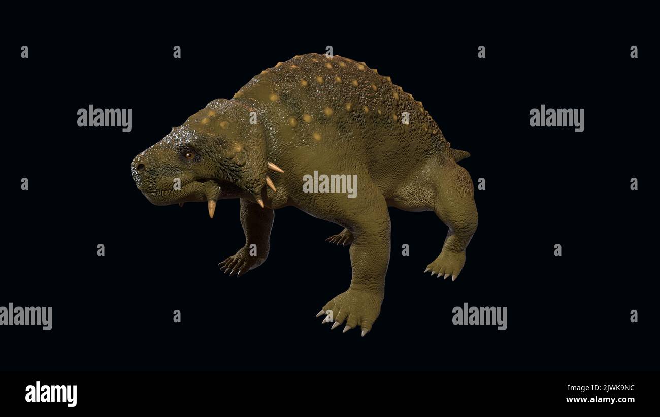 Tardo permiano immagini e fotografie stock ad alta risoluzione - Alamy