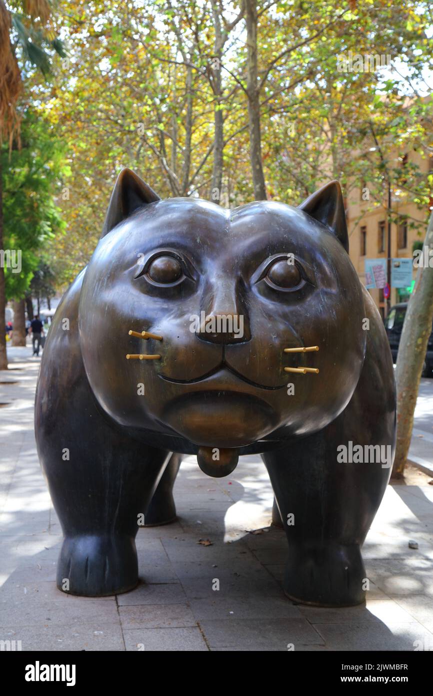 Gato botero raval immagini e fotografie stock ad alta risoluzione - Alamy