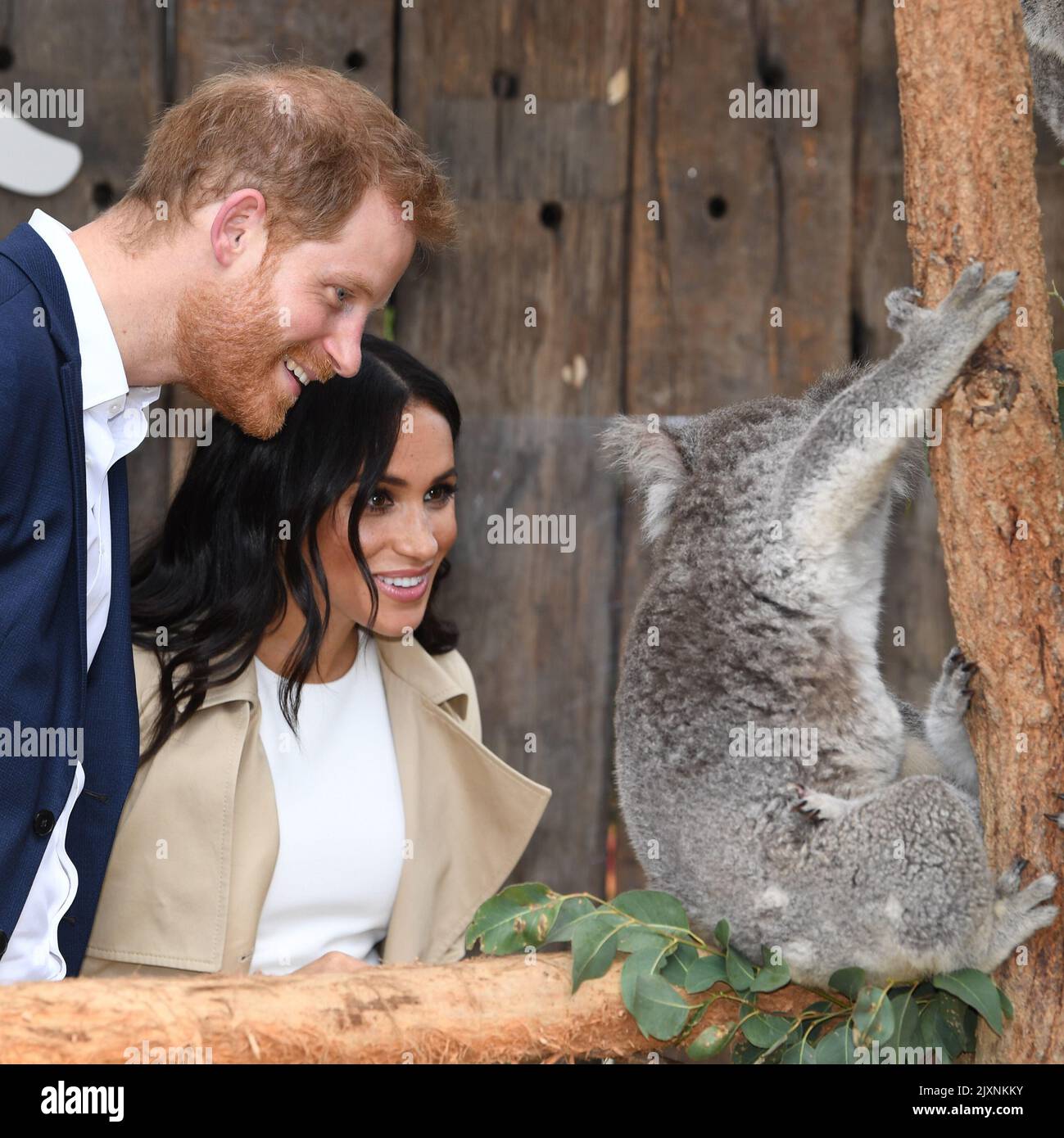 Il principe britannico Harry, il duca di Sussex e la sua moglie Meghan ...