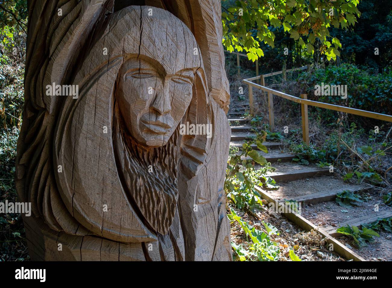 Riserva naturale di braywick immagini e fotografie stock ad alta ...