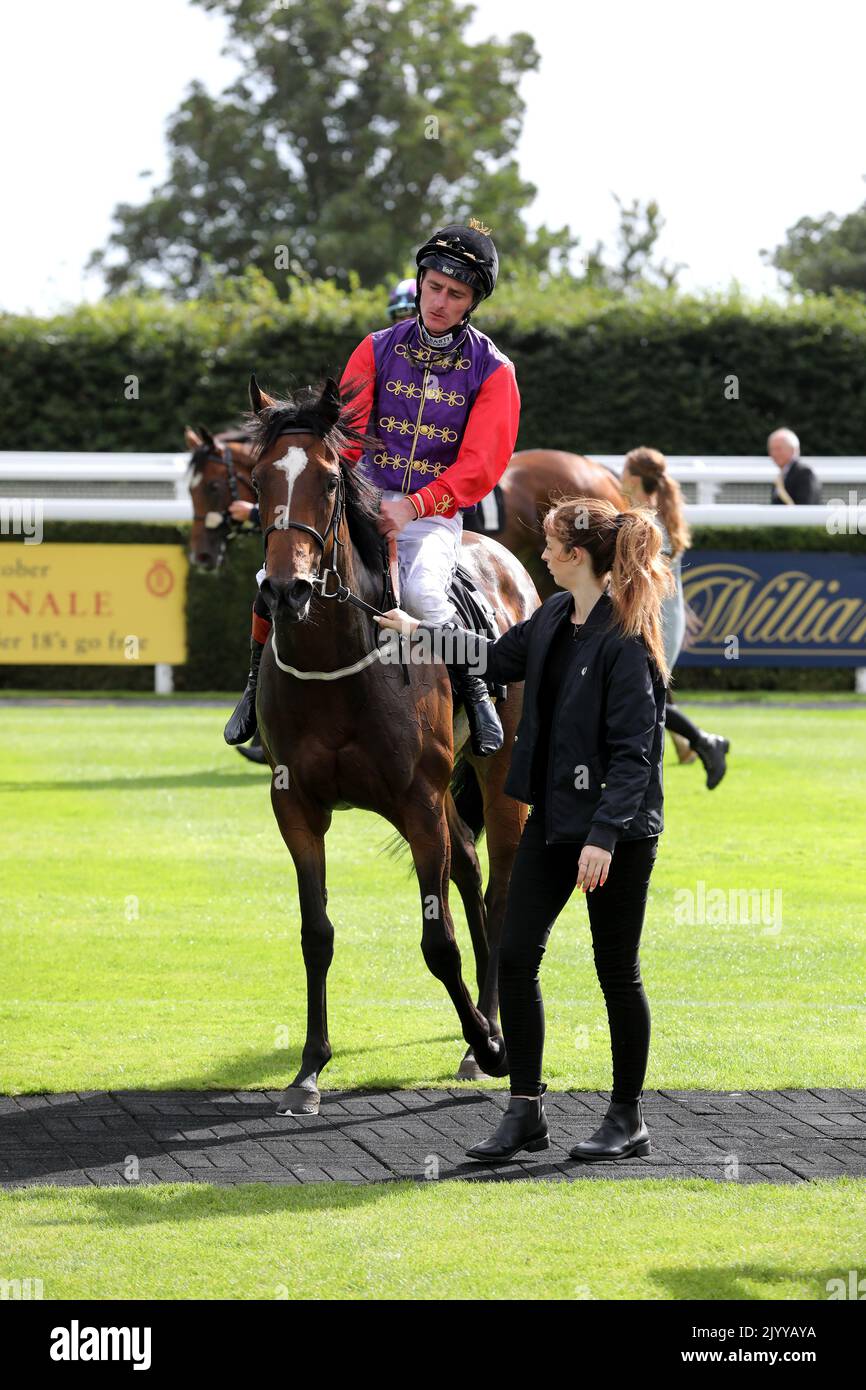 L'ultimo cavallo vincente della regina prima della sua morte immagini e ...