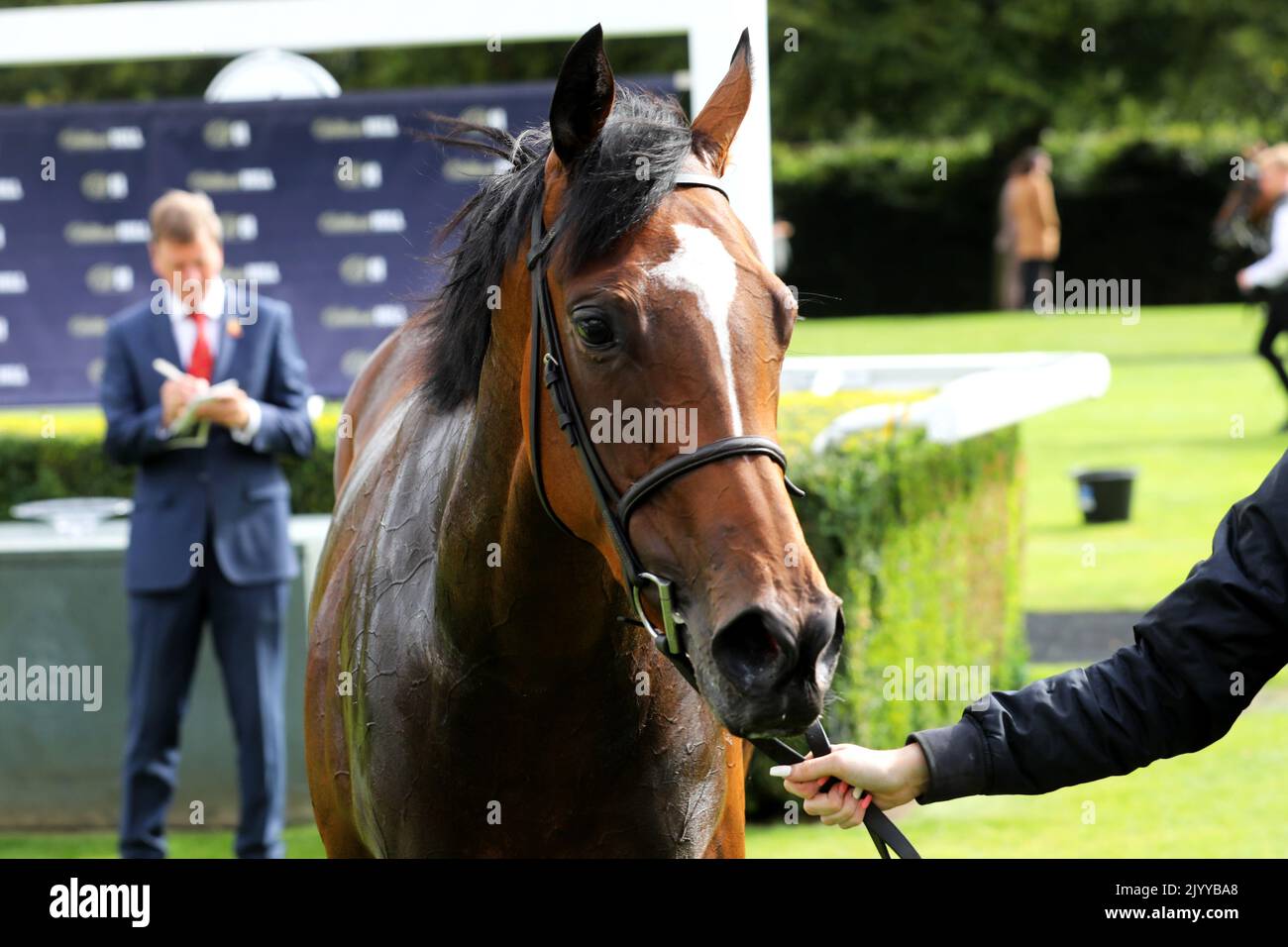 L'ultimo cavallo vincente della regina prima della sua morte immagini e ...