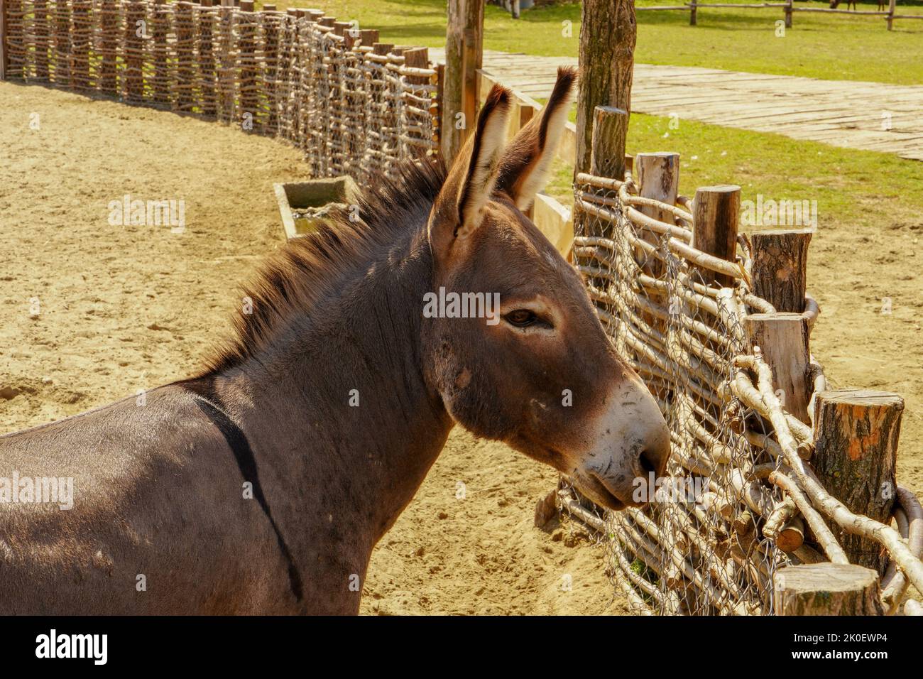 Simbolo dello zoo immagini e fotografie stock ad alta risoluzione ...