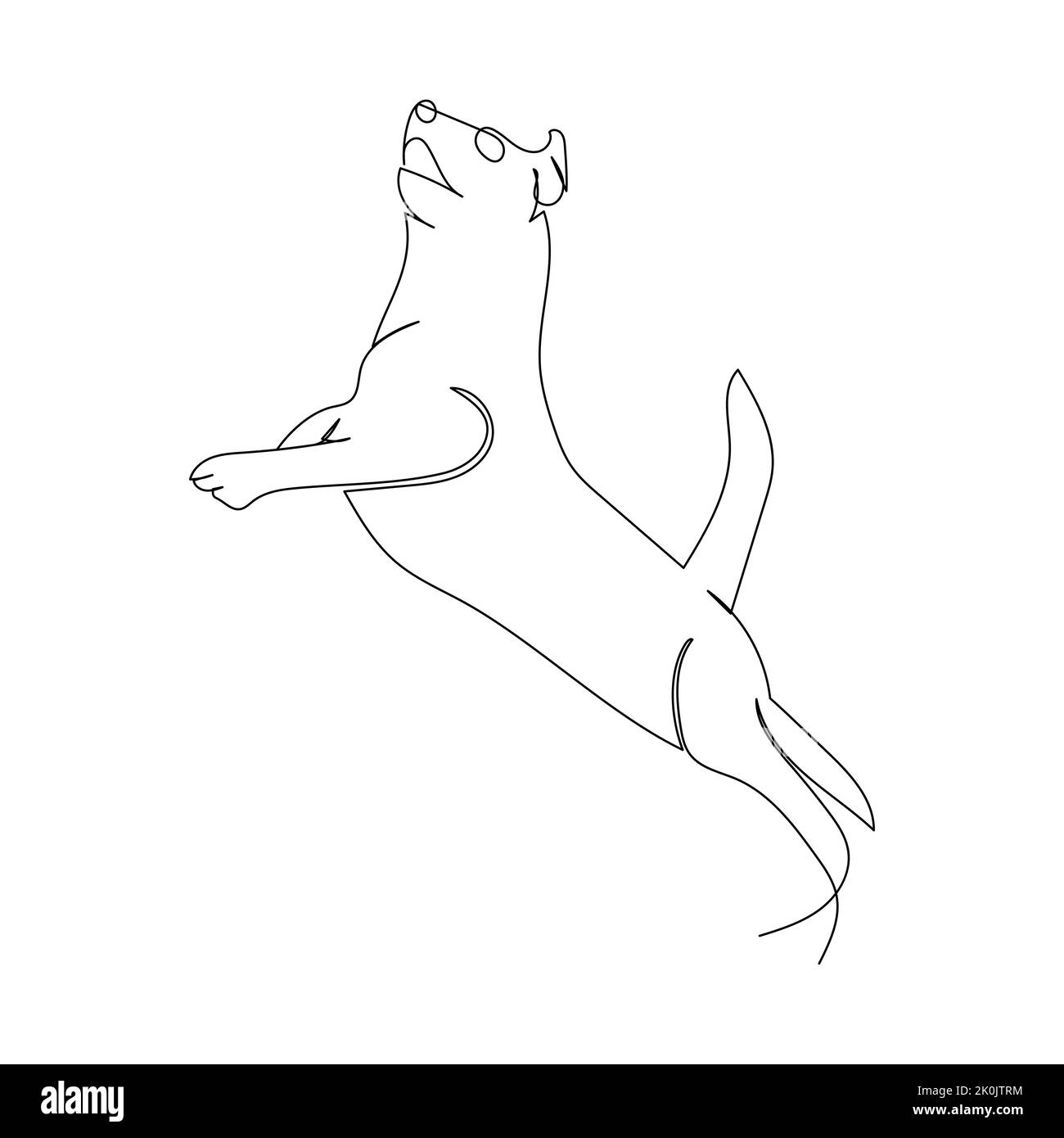 Linea continua disegno cane Foto e Immagini Stock in Bianco e Nero - Alamy