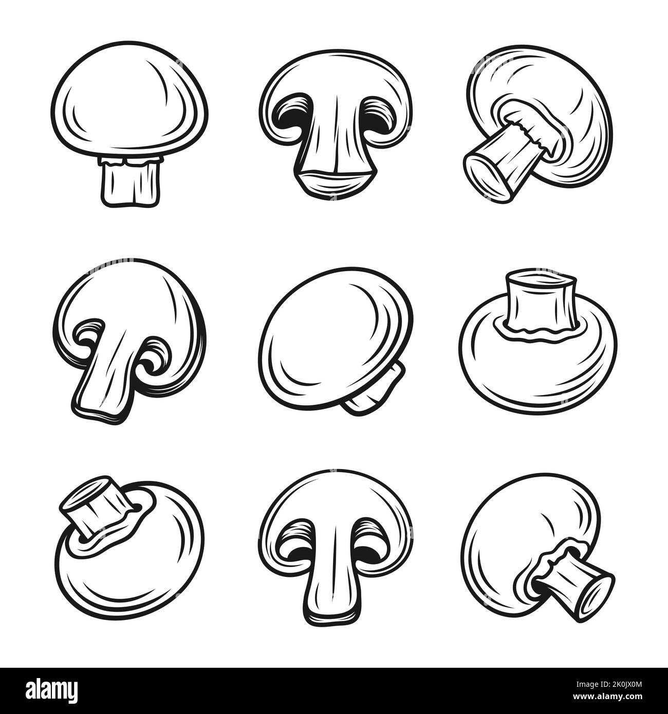 Champignon monocromatico Vector disegnato a mano in bianco e nero con ...