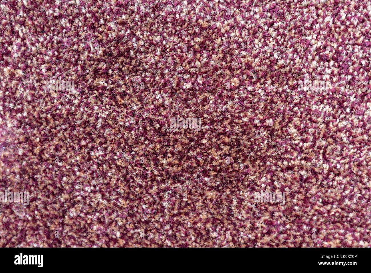 Viola moquette immagini e fotografie stock ad alta risoluzione - Alamy