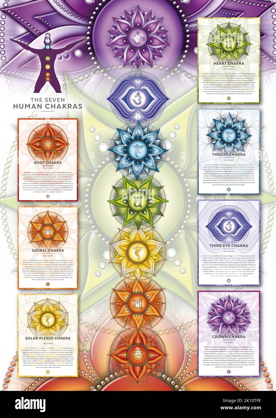 Potente 7 Chakra - Infografica poster/carta da parati con descrizione ...