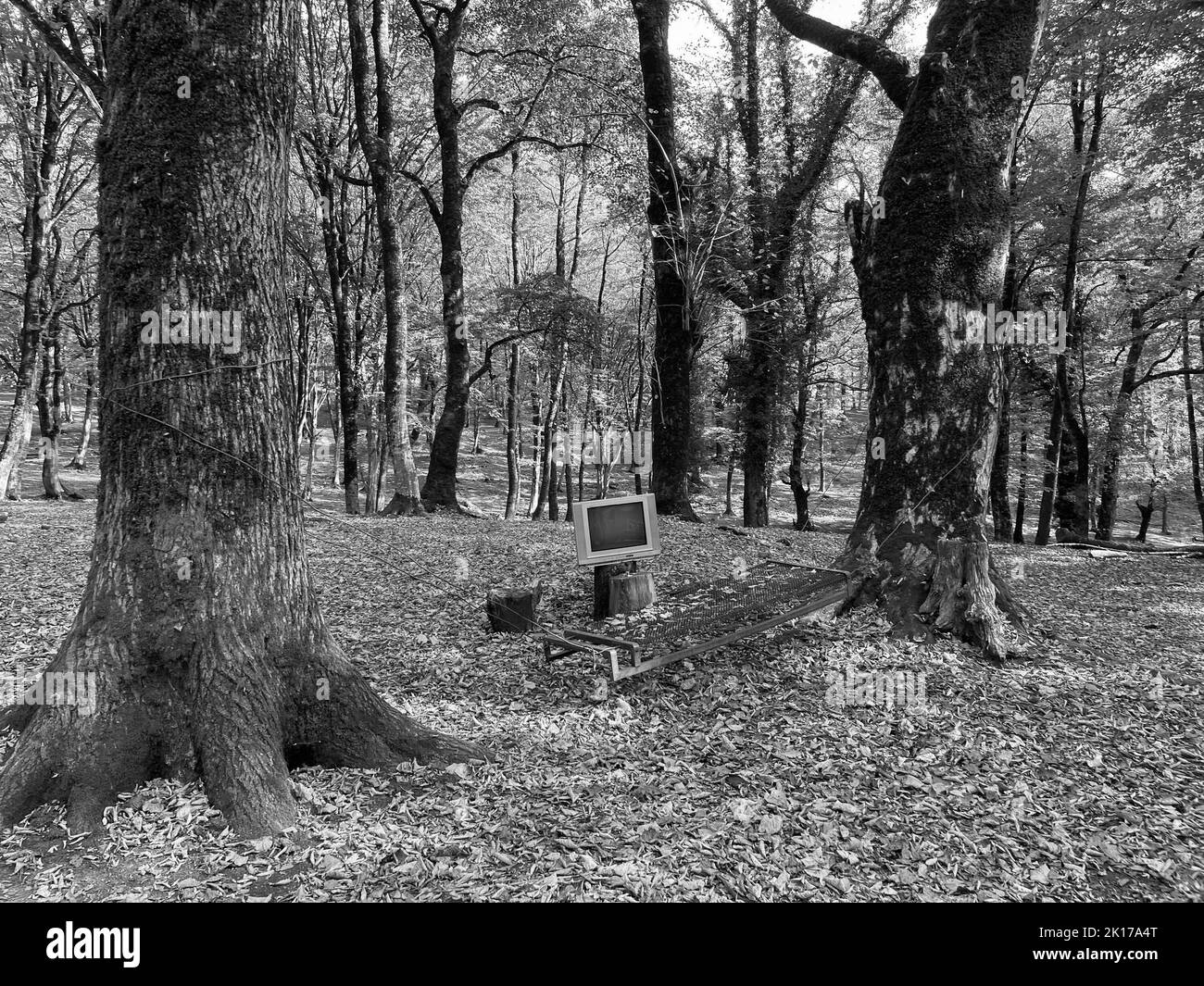 Televisore rotto rotto Foto e Immagini Stock in Bianco e Nero - Alamy