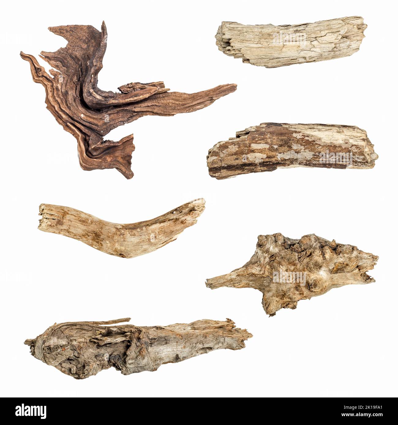 High resolution walnut wood texture immagini e fotografie stock ad alta ...