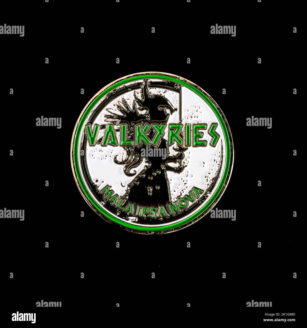 USAF 495th Fighter Squadron Challenge Coin RAF Lakenheath F35 Valkyries ...