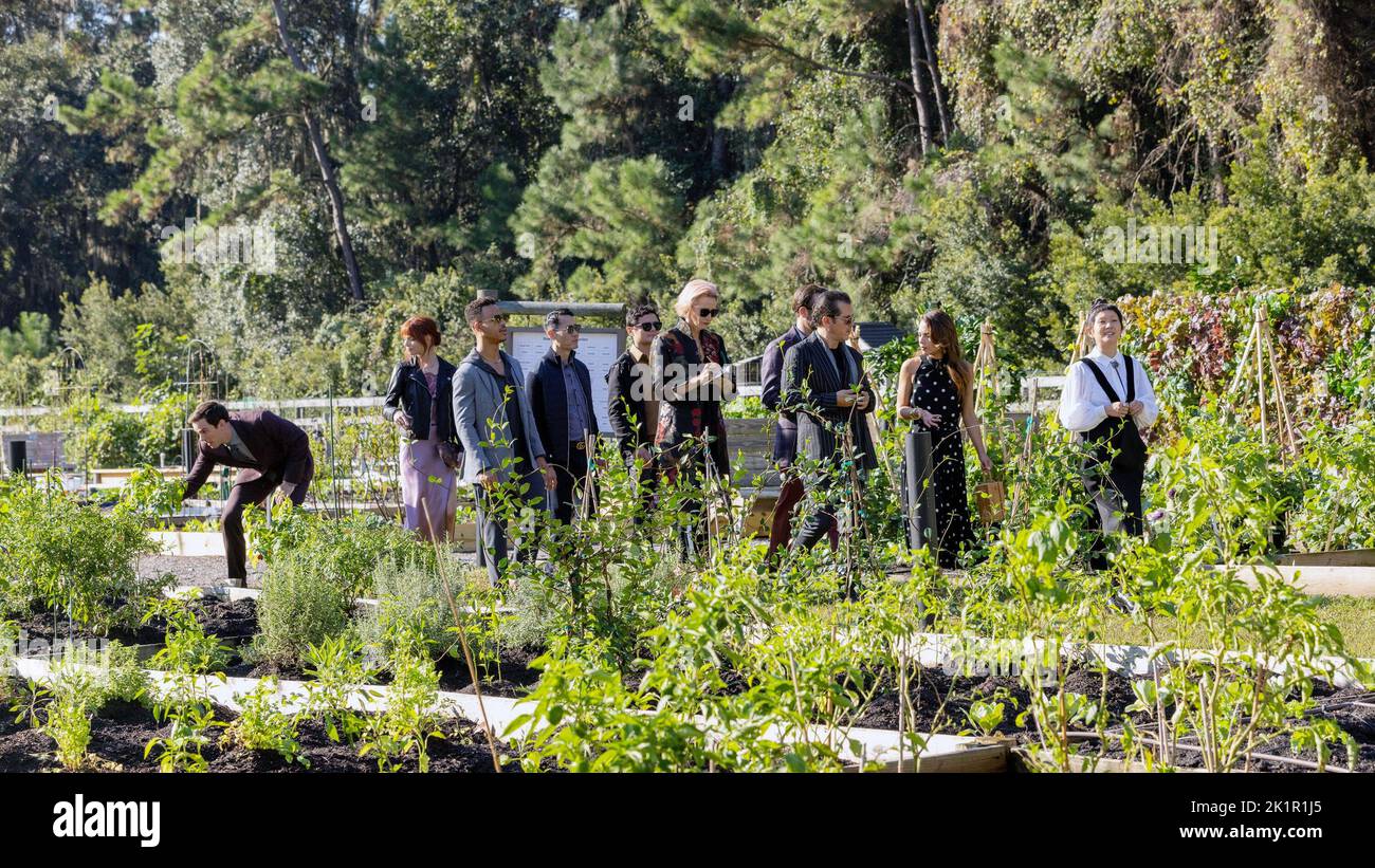 IL MENU, da sinistra: Nicholas Hoult, Anya Taylor-Joy, Mark St. Cyr ...