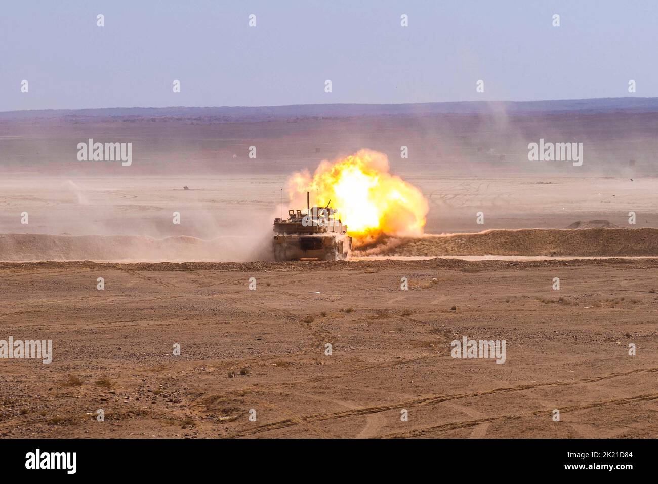 1st combined arms battalion immagini e fotografie stock ad alta ...