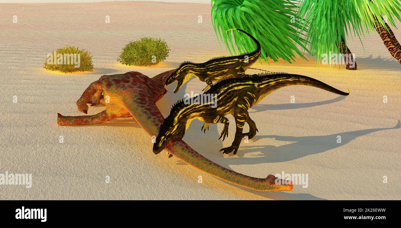 Torvosaurus attacca Diplodocus Foto stock - Alamy