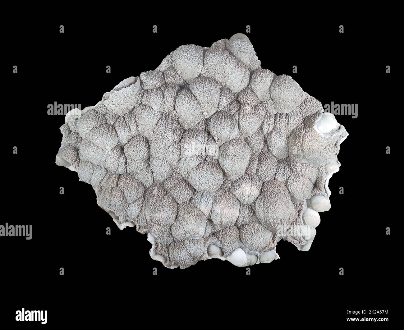 Mineral calcite calcium carbonate immagini e fotografie stock ad alta ...