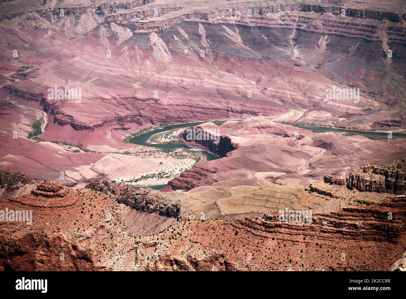 Colorado river grand canyon immagini e fotografie stock ad alta ...
