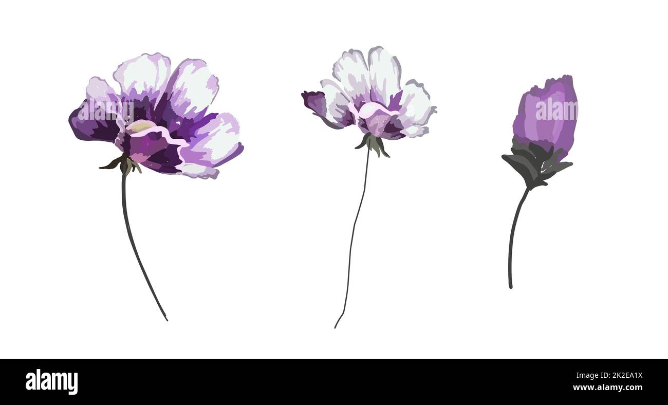 Elementos de ilustración Immagini senza sfondo e Foto Stock ritagliate ...