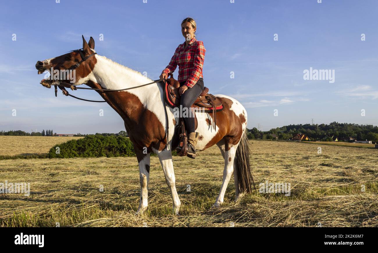 Cavallo che ride immagini e fotografie stock ad alta risoluzione - Alamy