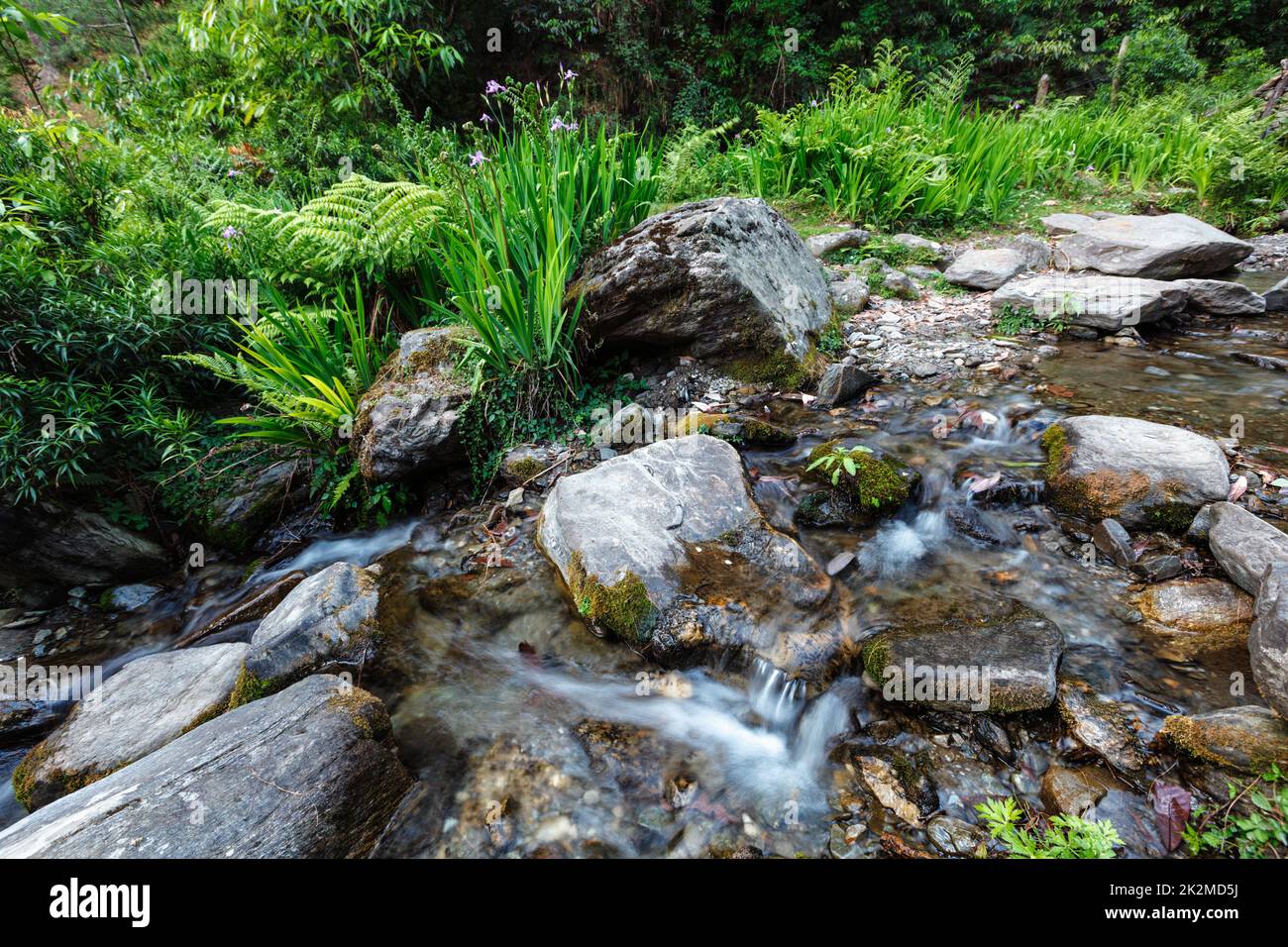 Himachal verde immagini e fotografie stock ad alta risoluzione - Alamy