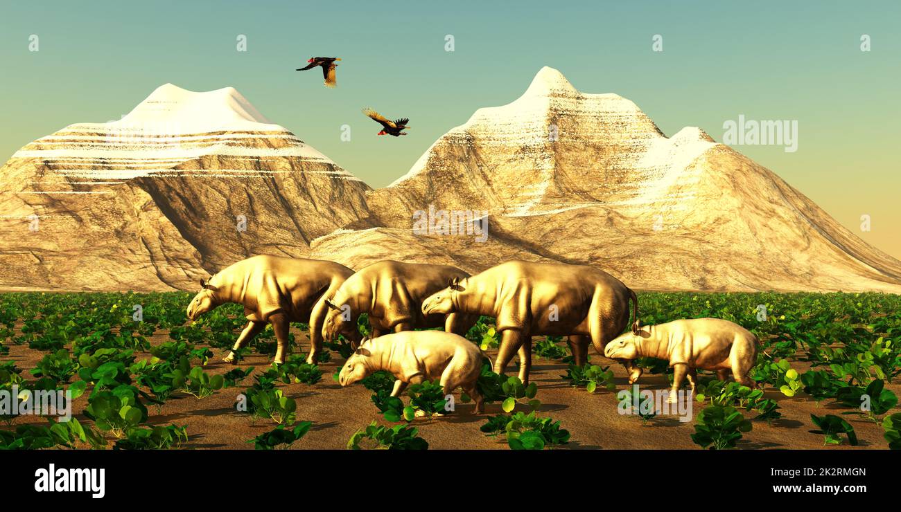 Paraceratherium indricotherium baluchitherium immagini e fotografie ...