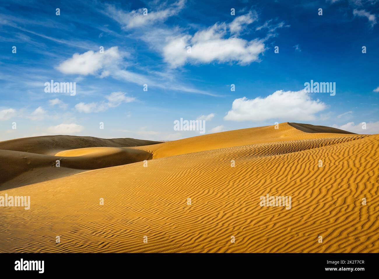 Deserto del thar thar immagini e fotografie stock ad alta risoluzione ...