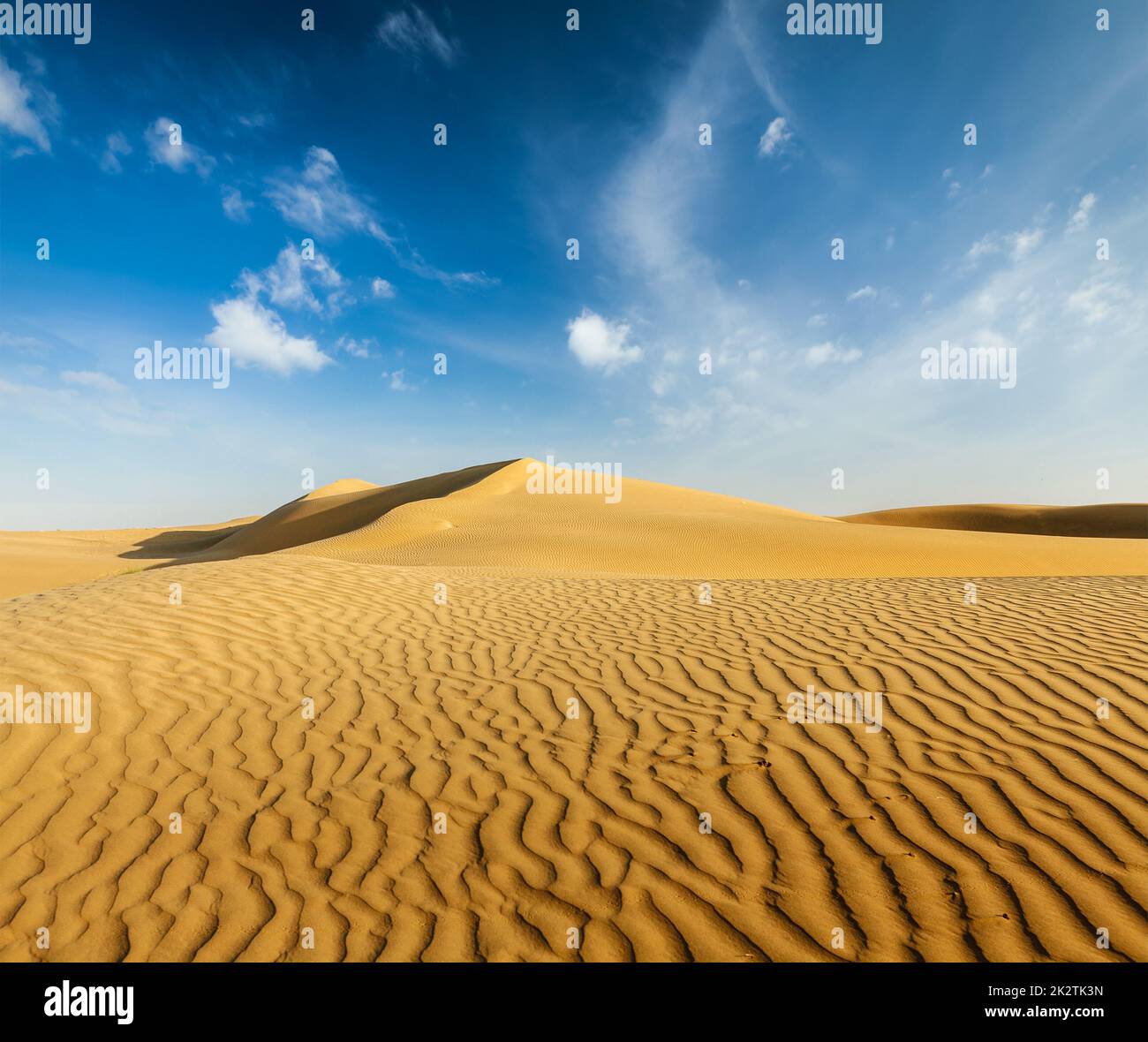 Deserto del thar thar immagini e fotografie stock ad alta risoluzione ...