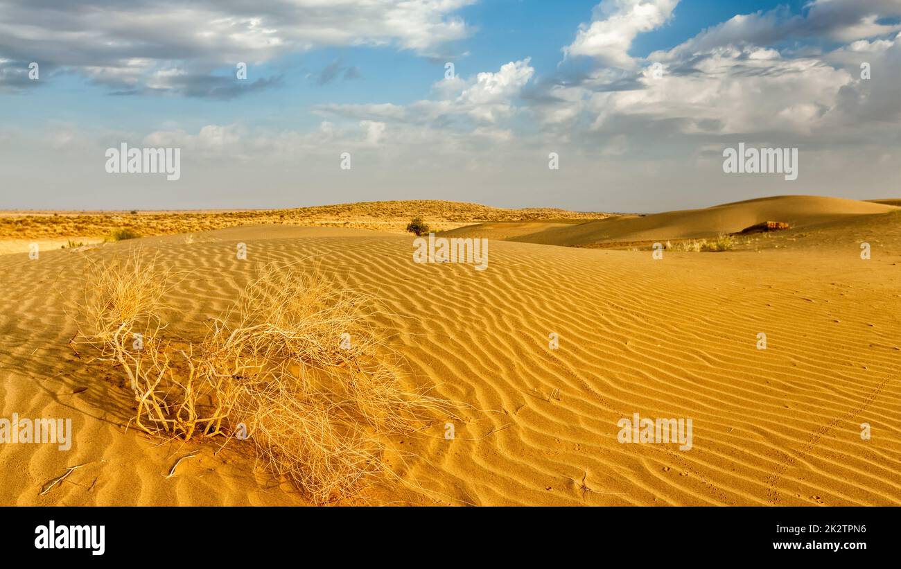 Deserto del thar thar immagini e fotografie stock ad alta risoluzione ...